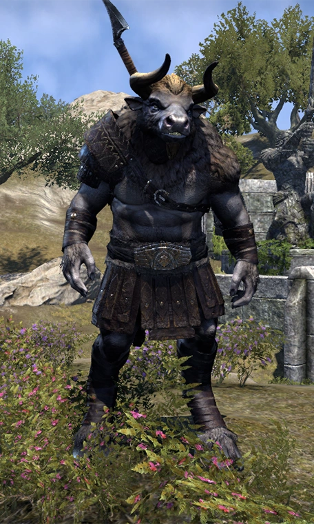 Minotaure (Online) | Wiki The Elder Scrolls | Fandom