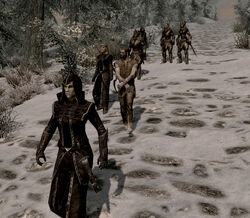 Nords | Elder Scrolls | Fandom