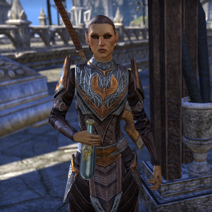 Леди Винвинарин The Elder Scrolls Wiki Fandom