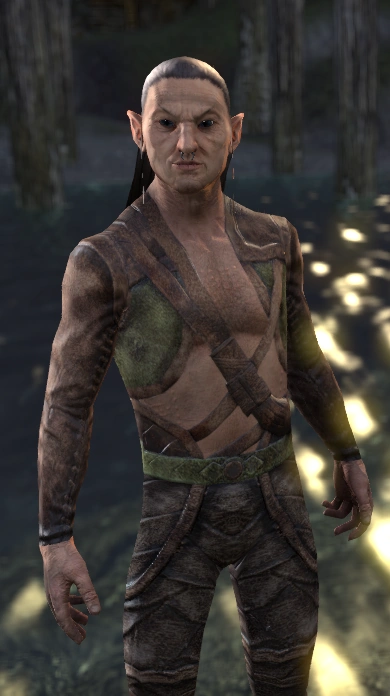 Egenor | Wiki The Elder Scrolls | Fandom