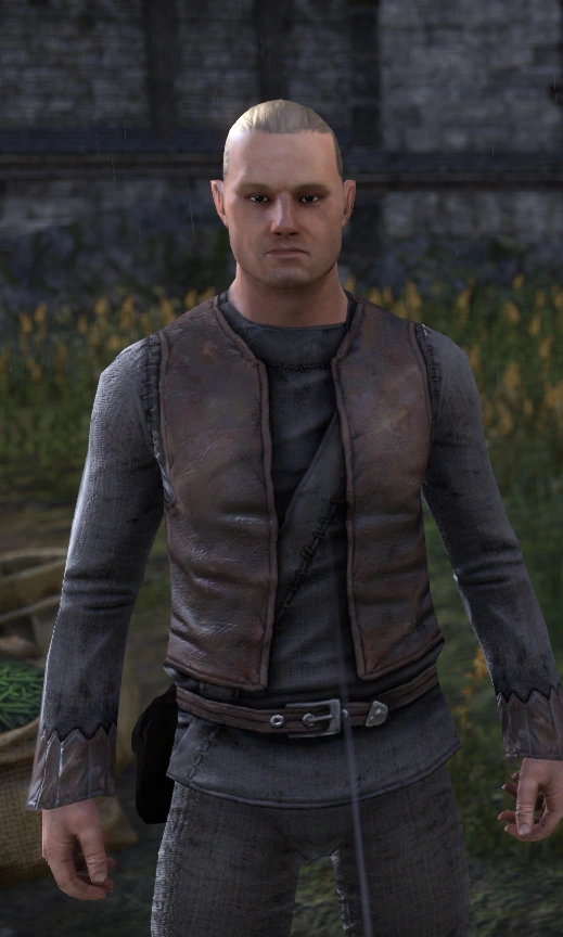 Nicolas Elve | Wiki The Elder Scrolls | Fandom