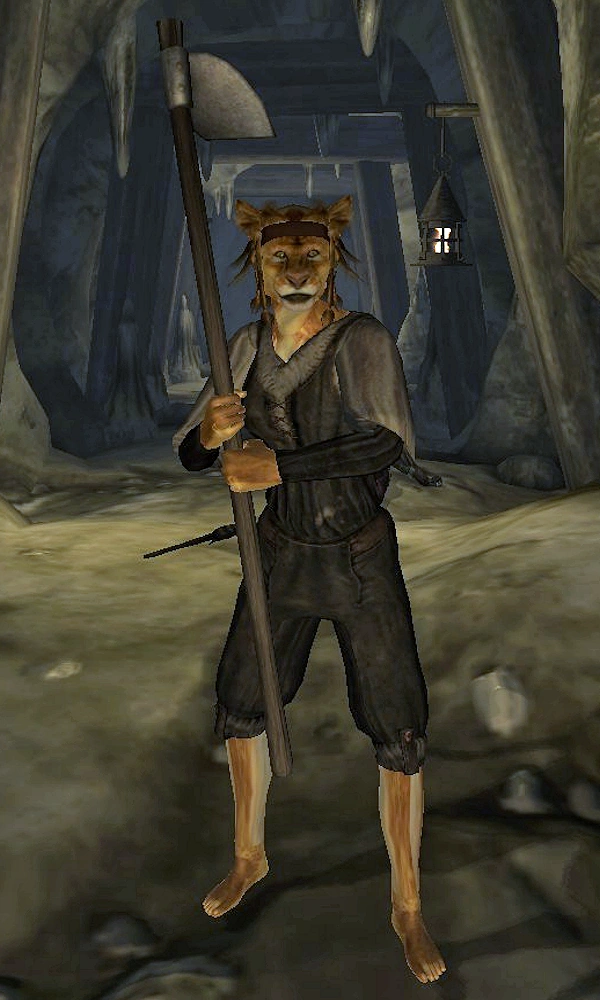 Khajiit Laborer | Elder Scrolls | Fandom