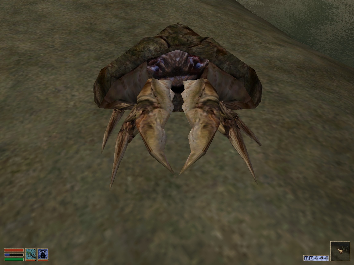 Mudcrab Merchant (Morrowind) | Elder Scrolls | Fandom Mudcrab Merchant (Morrowind) | Elder Scrolls | Fandom