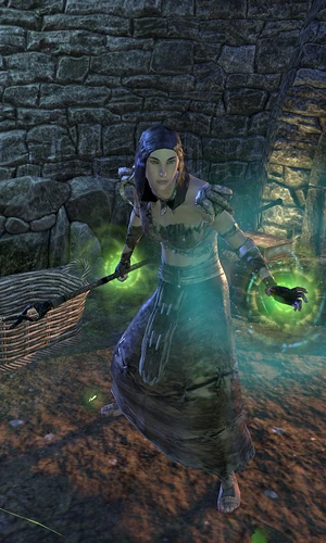 Wyress Ritualist | Elder Scrolls | Fandom