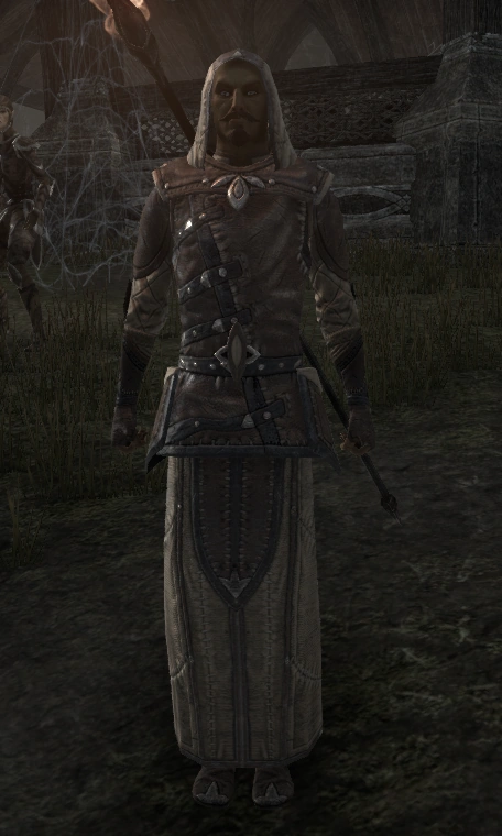 Pyromage du Domaine | Wiki The Elder Scrolls | Fandom