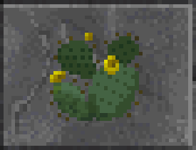 Cactus | Elder Scrolls | Fandom