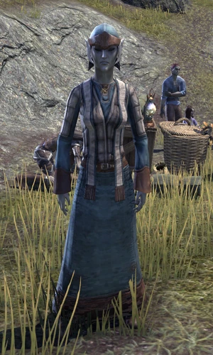 Healer Lirona | Elder Scrolls | Fandom