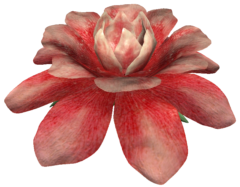 Redwort Flower (Skyrim Creation Club) | Elder Scrolls | Fandom