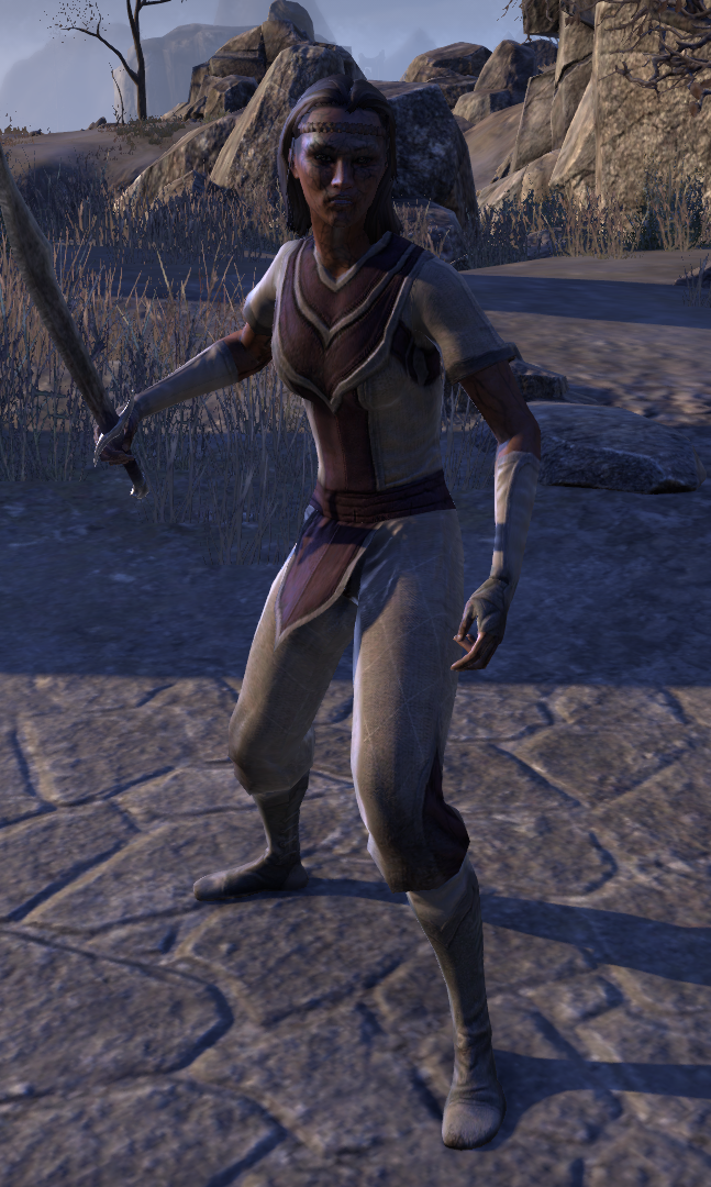 Apprenti Disciple De Lépée Wiki The Elder Scrolls Fandom