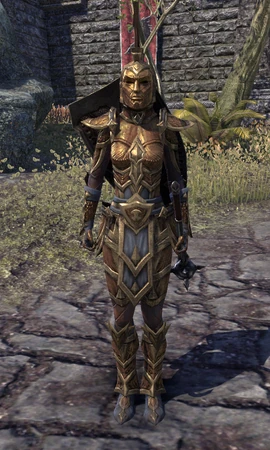 ordinator light armor