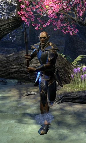 Polinus | Elder Scrolls | Fandom