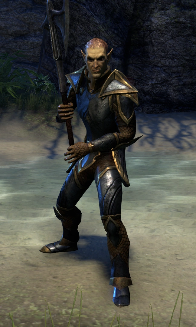 Polinus | Wiki The Elder Scrolls | Fandom