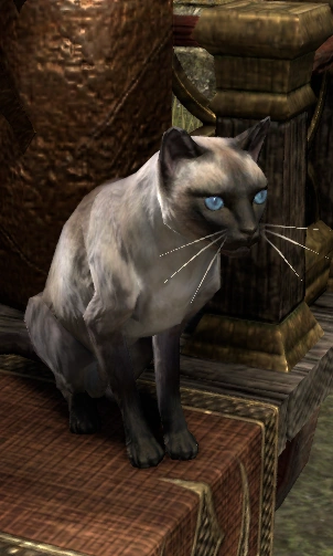 Ruby (Cat) | Elder Scrolls | Fandom