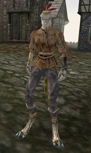 Tern-Feather | Elder Scrolls | Fandom