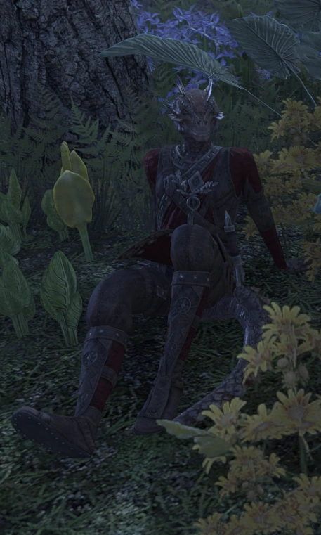 Wiluso | Elder Scrolls | Fandom