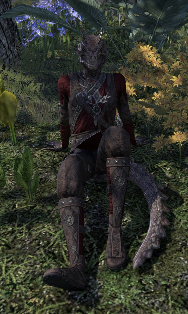 Wiluso | Wiki The Elder Scrolls | Fandom