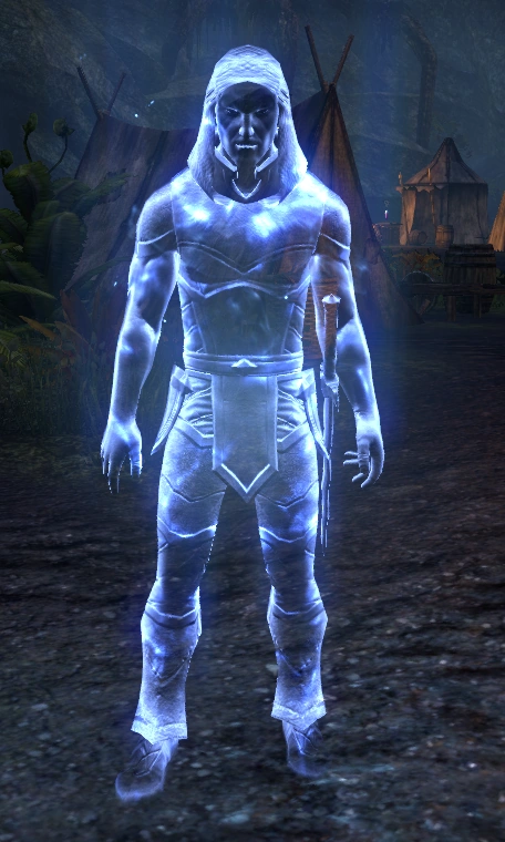 Wilhem | Wiki The Elder Scrolls | Fandom