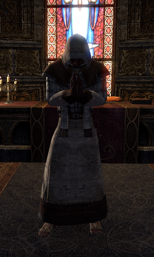Pitof Elder Scrolls Fandom