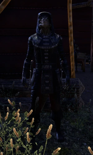 Shadowscale Sentry | Elder Scrolls | Fandom