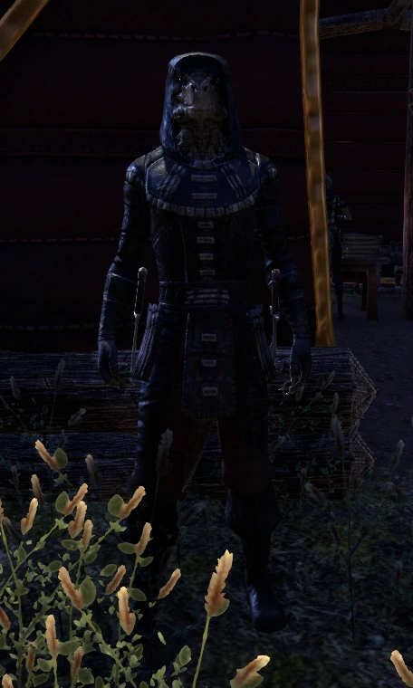 Shadowscale Sentry | Elder Scrolls | Fandom