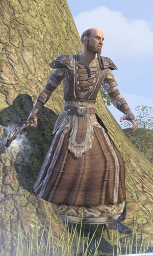 Cryomancer (Online) | Elder Scrolls | Fandom