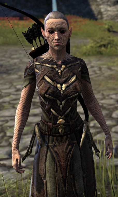 Elengil | Wiki The Elder Scrolls | Fandom