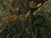Plants (Morrowind) | Elder Scrolls | Fandom