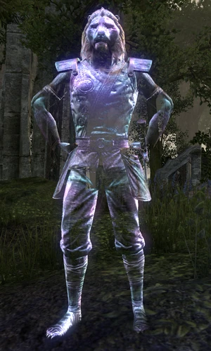 Rajhin | Wiki The Elder Scrolls | Fandom