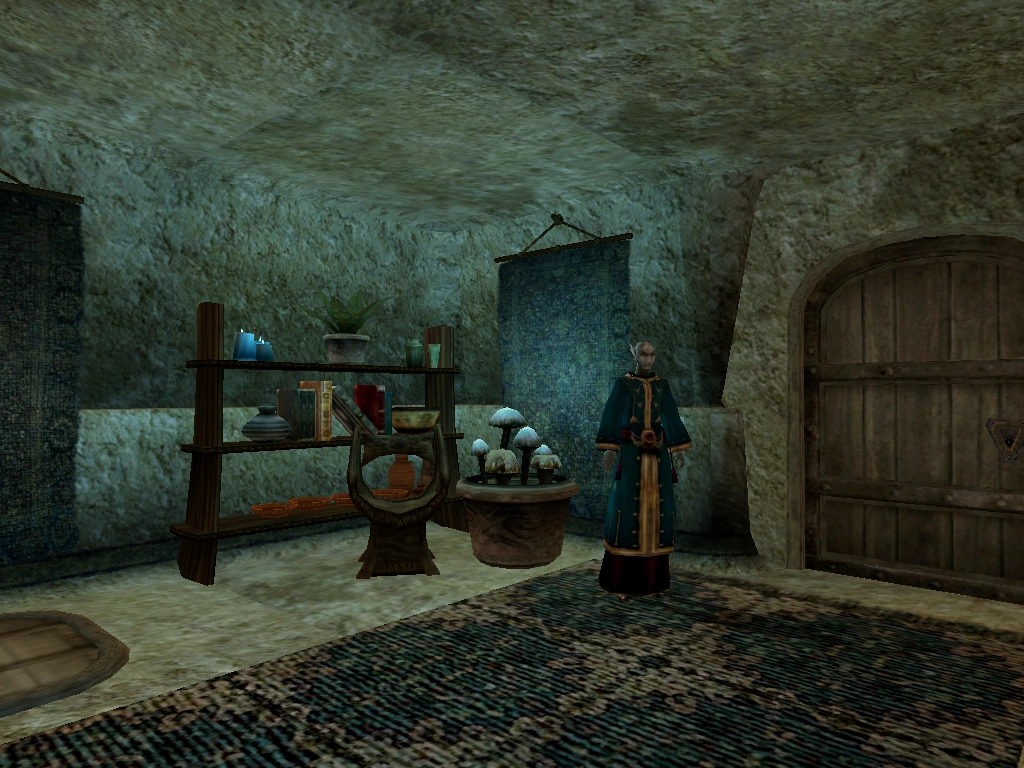 Telvanni Mage | Elder Scrolls | Fandom