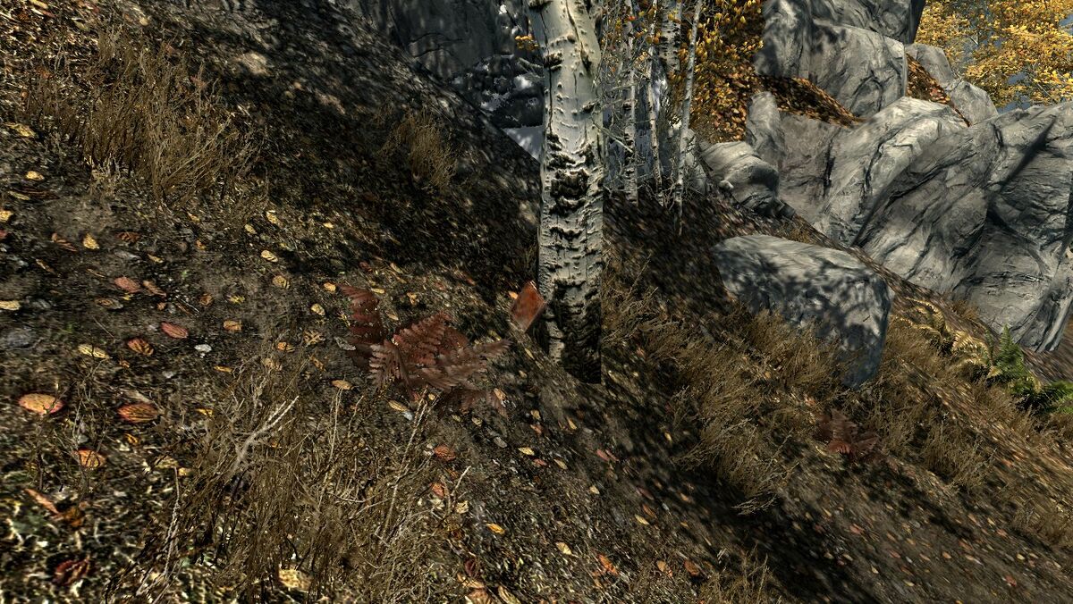 Спрятанные сокровища — Пещера Жёлтый Камень The Elder Scrolls Wiki
