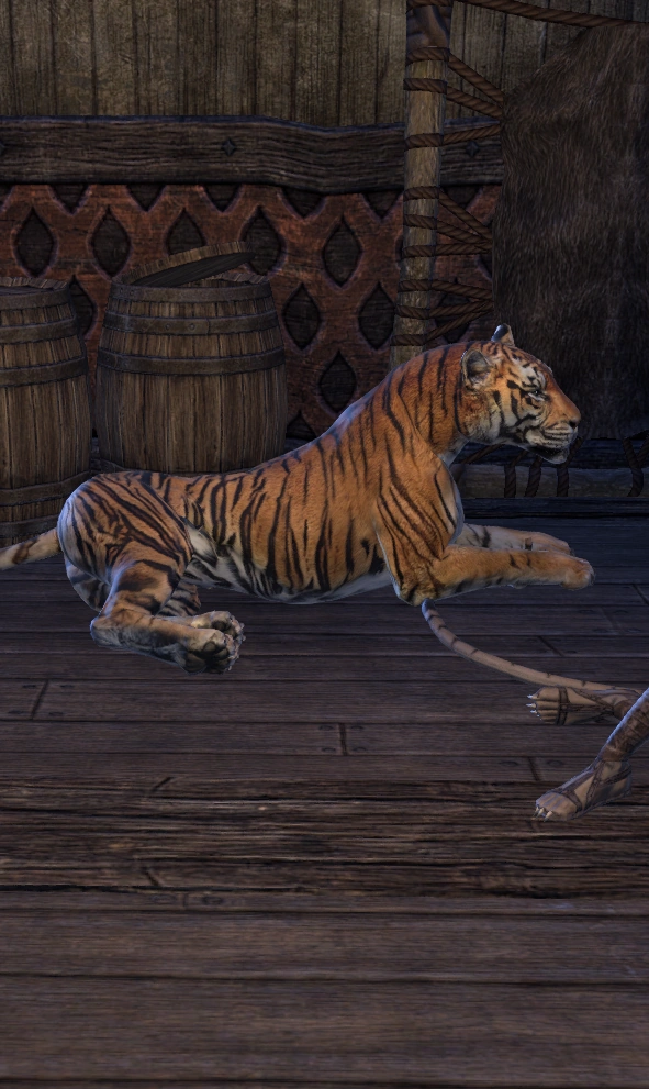 Afeh | Elder Scrolls | Fandom