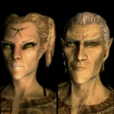 Altmer (Skyrim) | The Elder Scrolls Wiki | Fandom