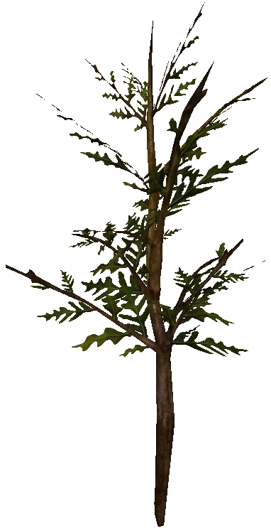Chokeweed Skyrim Creation Club Elder Scrolls Fandom
