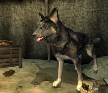 Pumpkin (Oblivion Creature) | Elder Scrolls | Fandom