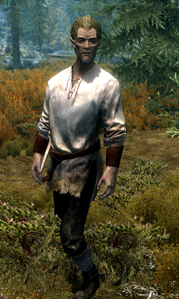 Saarthal Miner | Elder Scrolls | Fandom