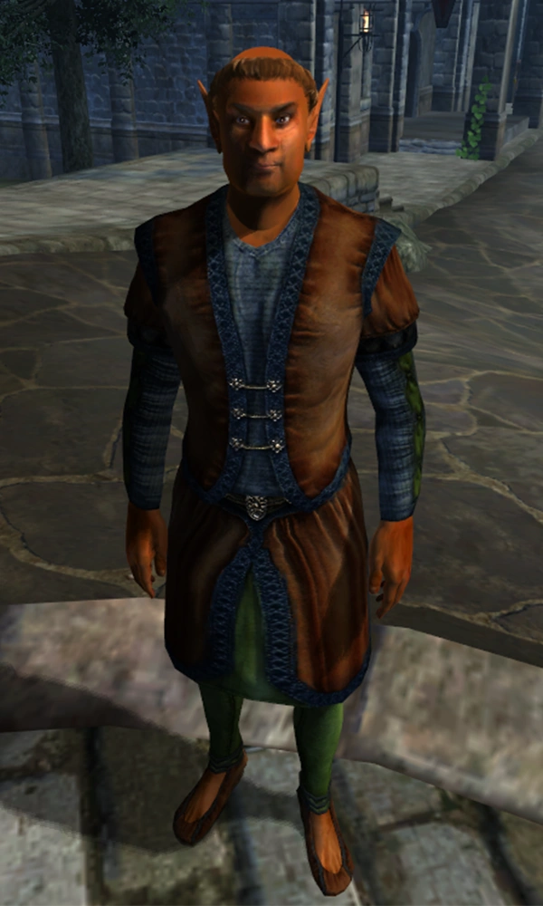 Hasathil (Test Character) | Elder Scrolls | Fandom