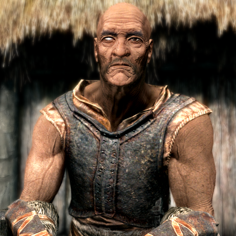 Гуннар Каменный Глаз The Elder Scrolls Wiki Fandom