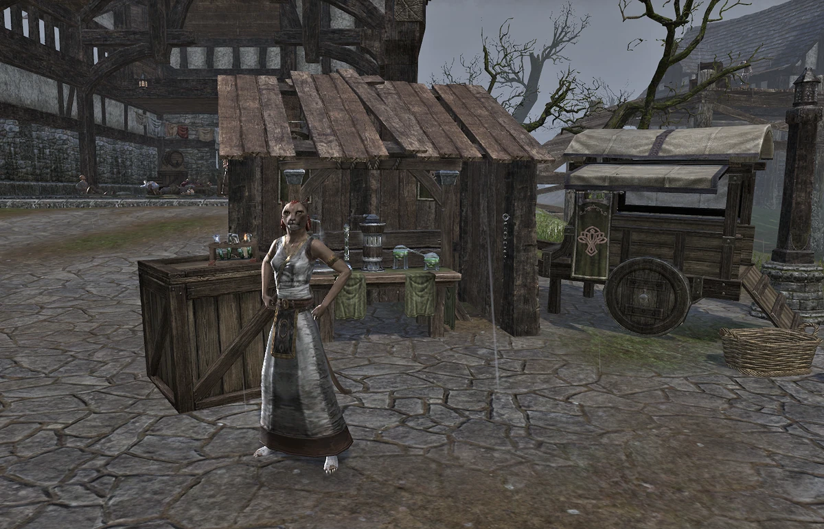 Elamusa's Marvelous Elixirs | Elder Scrolls | Fandom