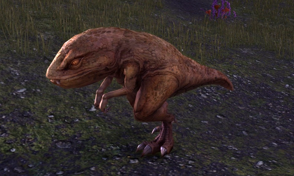 Guar (Online) | Elder Scrolls | Fandom