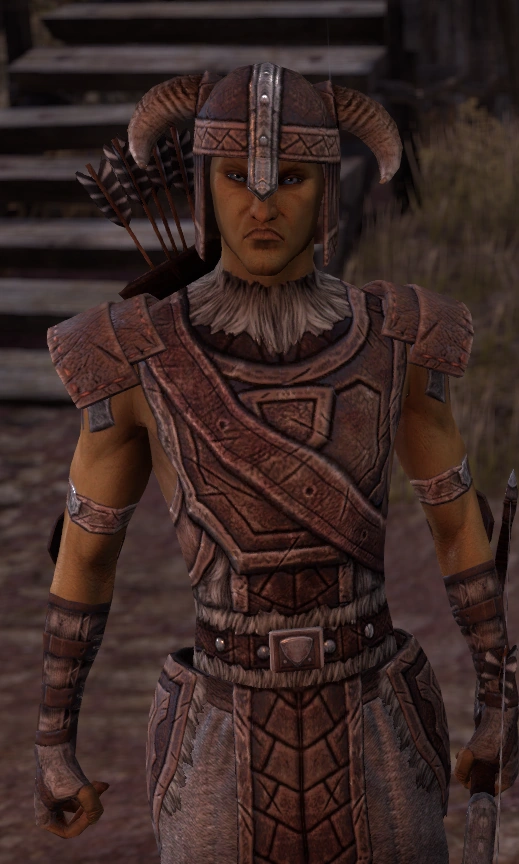 Invocateur combattant | Wiki The Elder Scrolls | Fandom