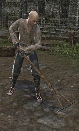 Jeran | Elder Scrolls | Fandom