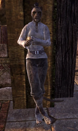 Khuzi | Elder Scrolls | Fandom