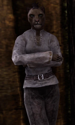 Khuzi | Wiki The Elder Scrolls | Fandom