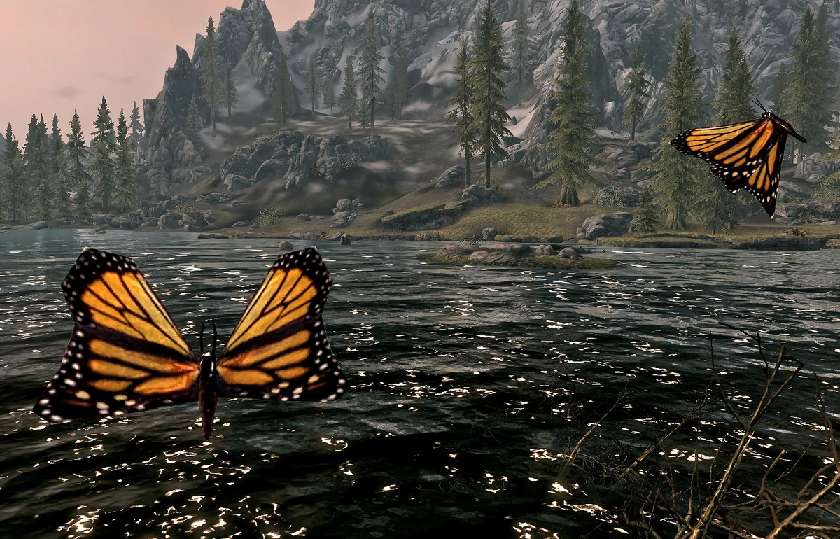 Monarch Butterfly | Elder Scrolls | Fandom