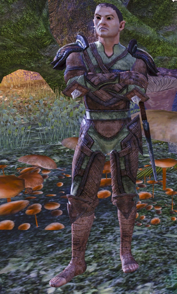 Rondor | Elder Scrolls | Fandom