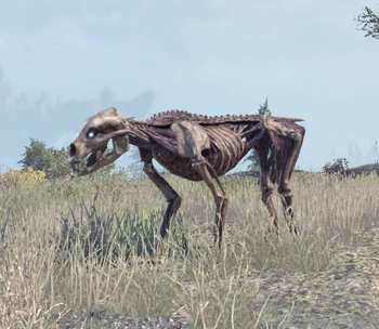 Skeletal Bear (Enemy) | Elder Scrolls | Fandom