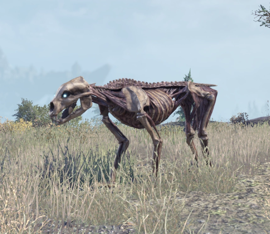 Skeletal Bear (Enemy) | Elder Scrolls | Fandom