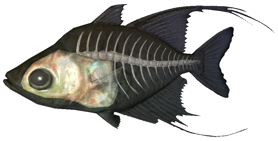 Glassfish (Skyrim Creation Club) | Elder Scrolls | Fandom