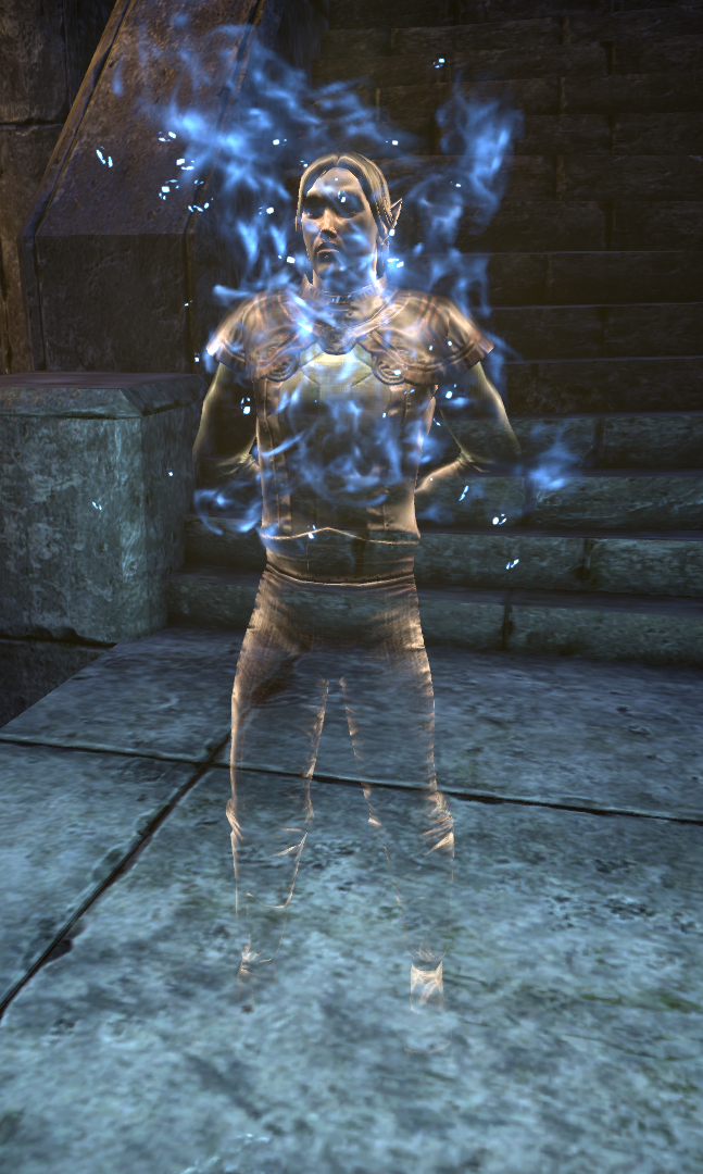 Haut Patriarche Rilis V Wiki The Elder Scrolls Fandom