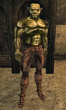 Fighters Guild (Morrowind) | Elder Scrolls | Fandom